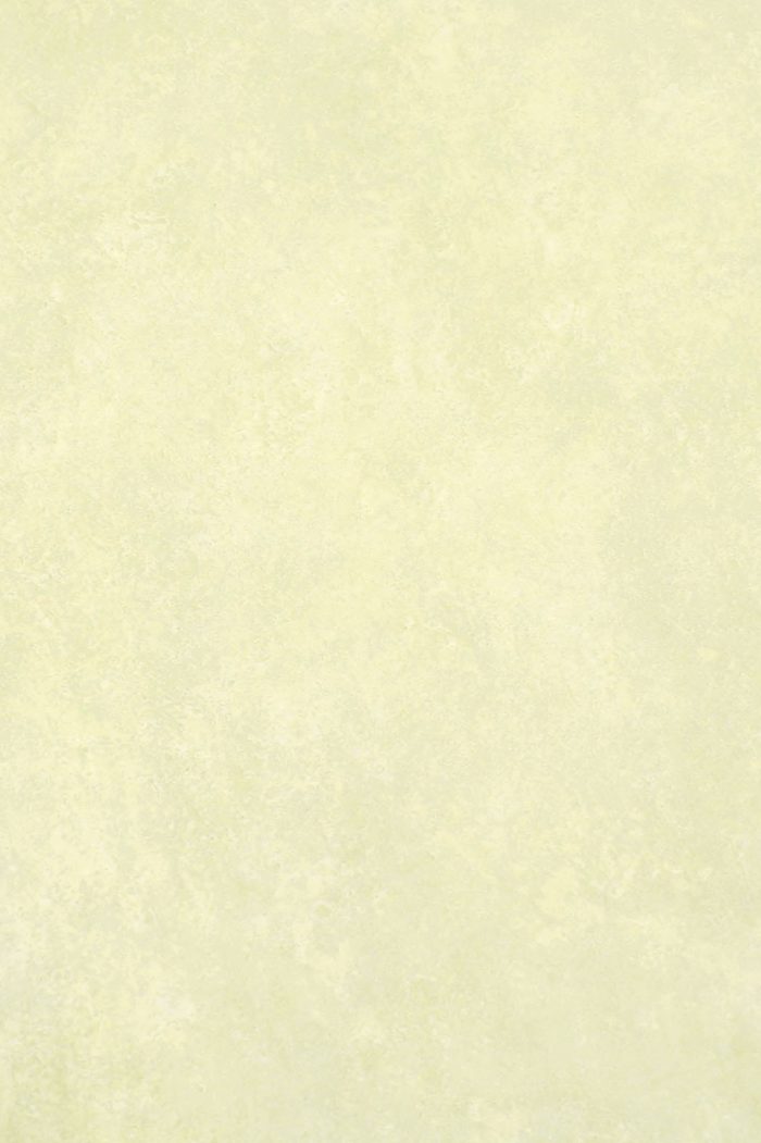 Roma Arena - Expoceramicas